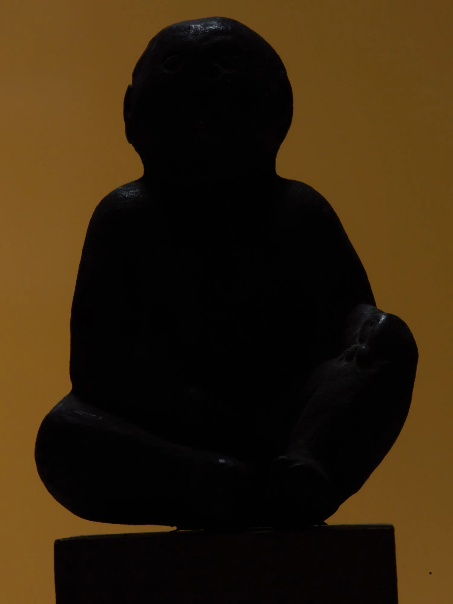 Tempo Vicino — STUDIO FLUDD