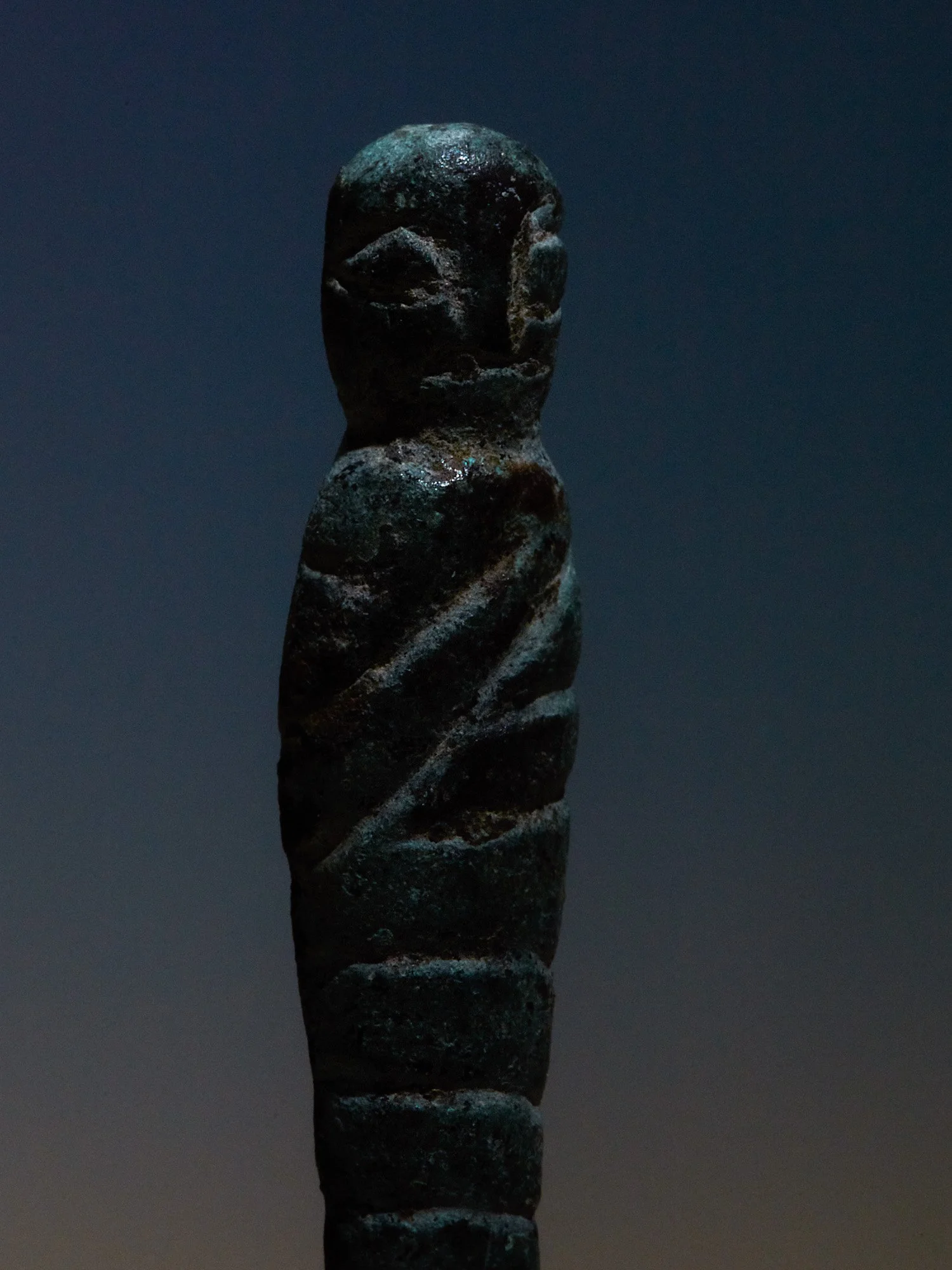 Tempo Vicino — STUDIO FLUDD