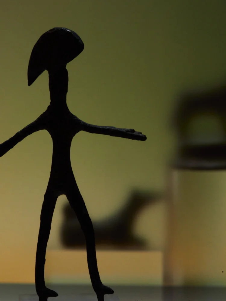 Tempo Vicino — STUDIO FLUDD