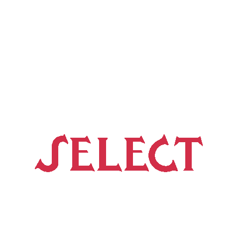 Ca' Select I. Visual identity — STUDIO FLUDD