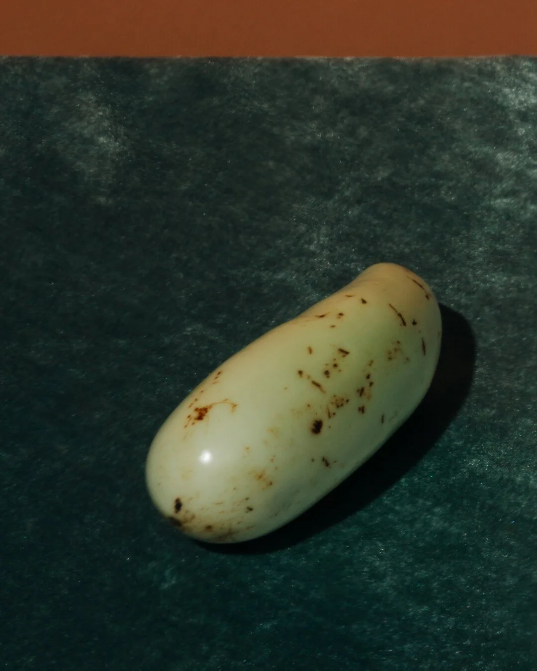 Aspic Fantasma — STUDIO FLUDD