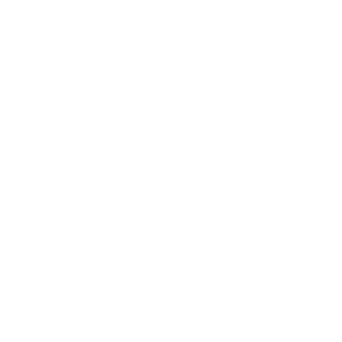 PNEUMA