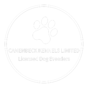 Camenbeck Kennels in the Scottish Borders
