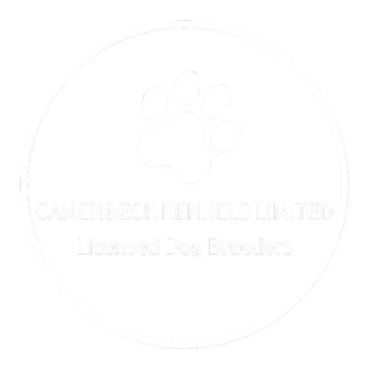 Camenbeck Kennels in the Scottish Borders