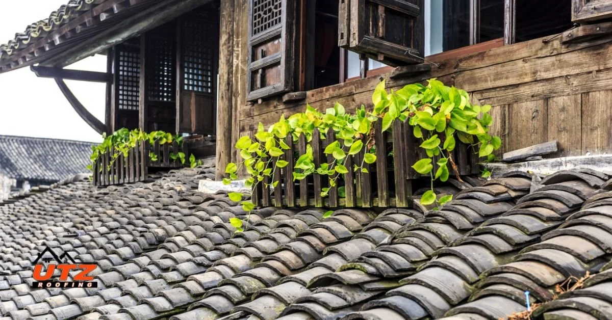 Why Does My New Roof Look Wavy? (Oil Canning vs. Buckling)