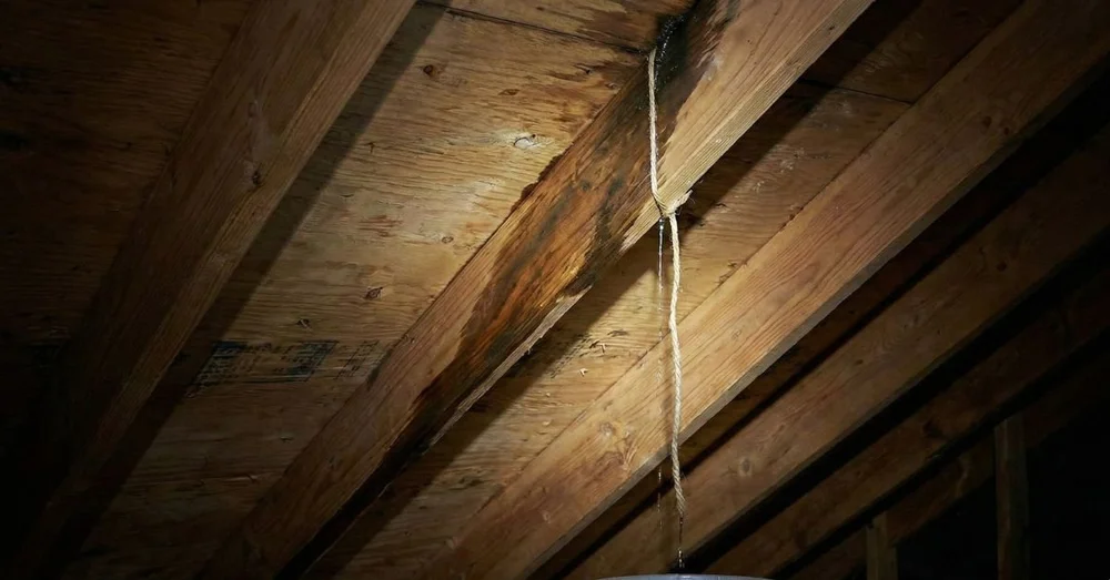 How to Temporarily Stop a Roof Leak (4-Step Emergency Guide)