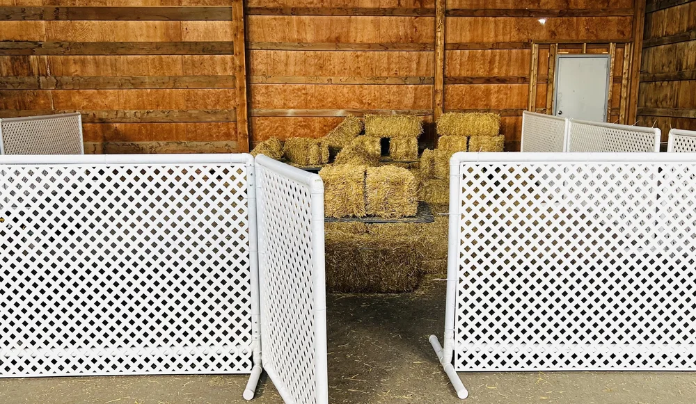 Barn Hunt — Cultured Canines | Professional Dog Training in Calgary