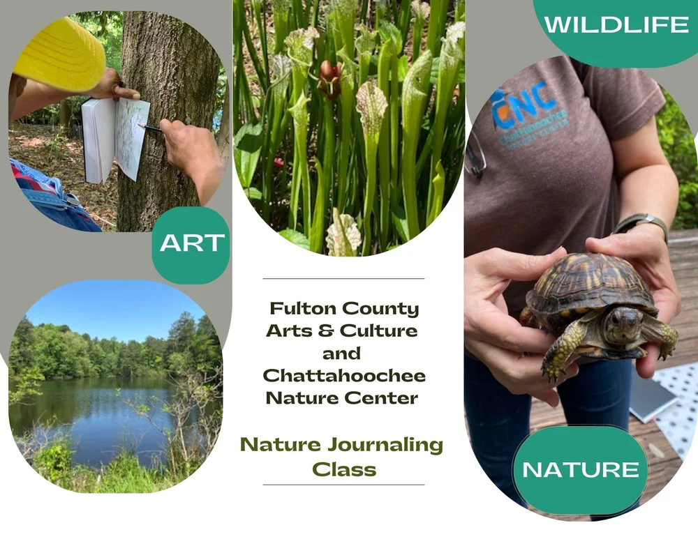 Community Partnerships — Fulton County | Arts & Culture