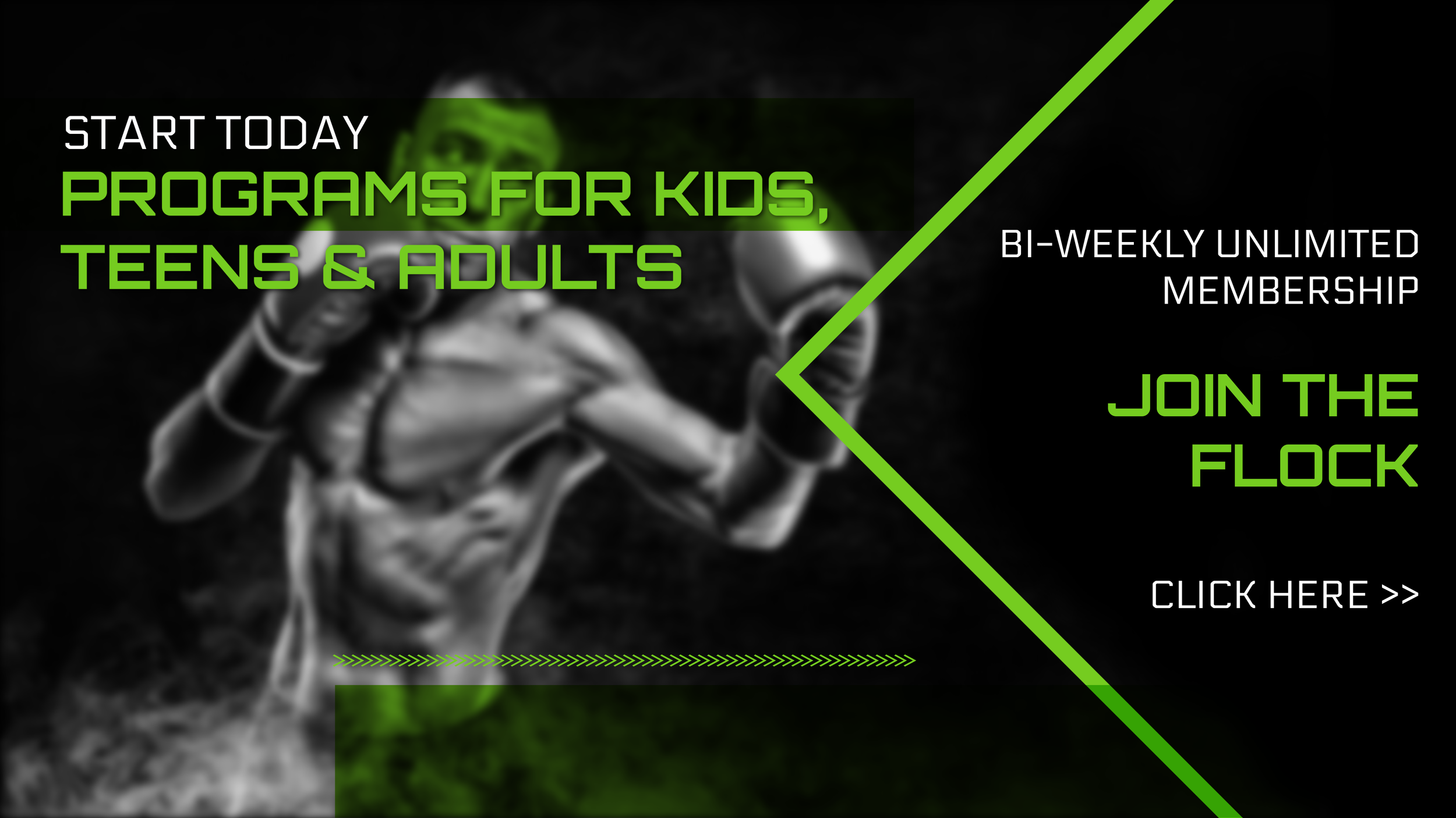 The Flock Mixed Martial Arts Academy