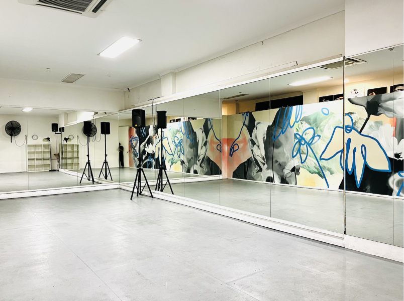 Studio Hire — Mad Dance House