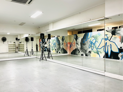 Studio Hire — Mad Dance House