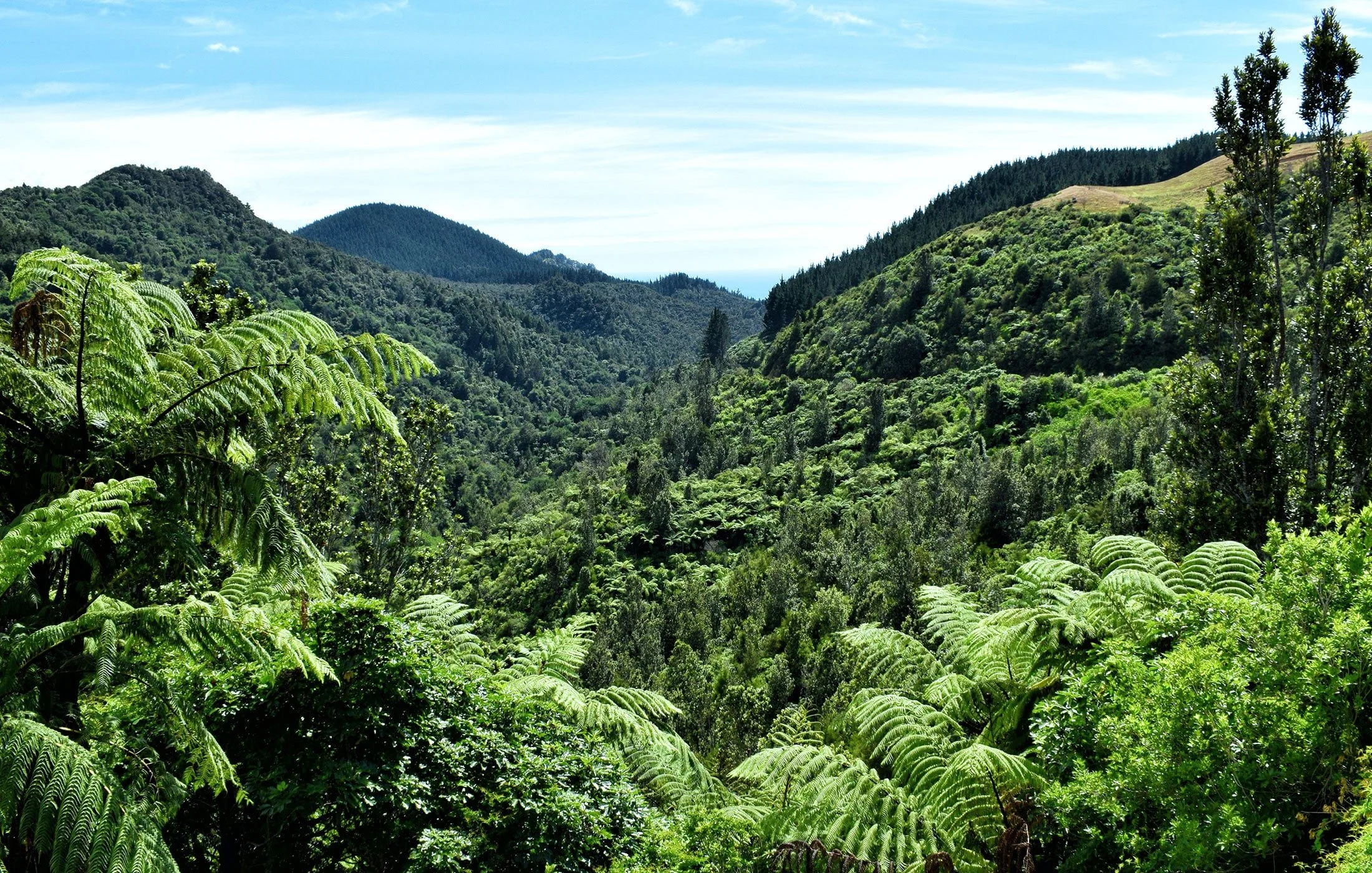 Capture Land Development Consultants