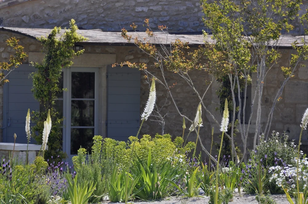 The Landscape Studio