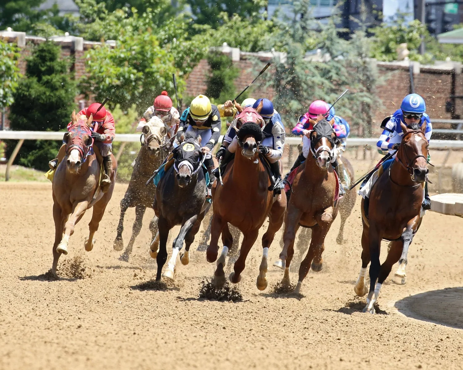 Part 2: Dirt – Under the Hoof: The Science and History of Horse Racing ...
