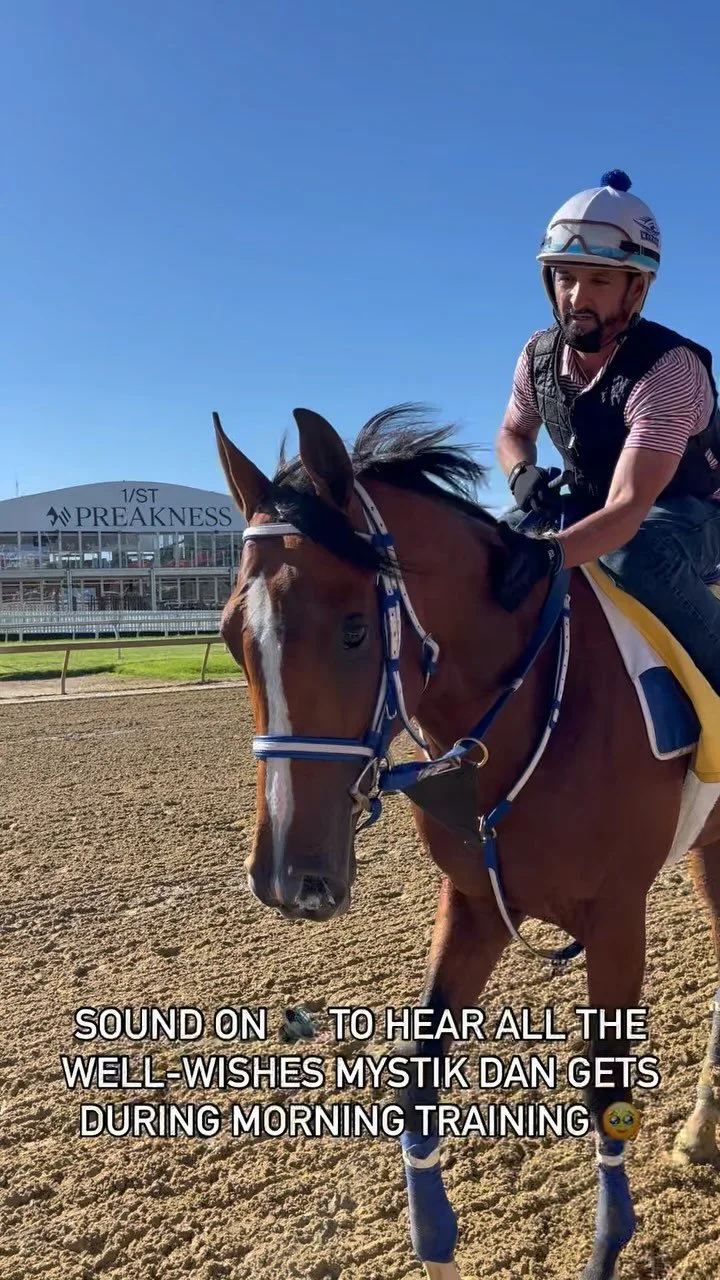 Amplify Horse Racing