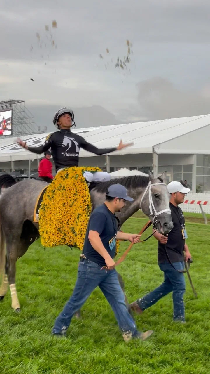 Amplify Horse Racing