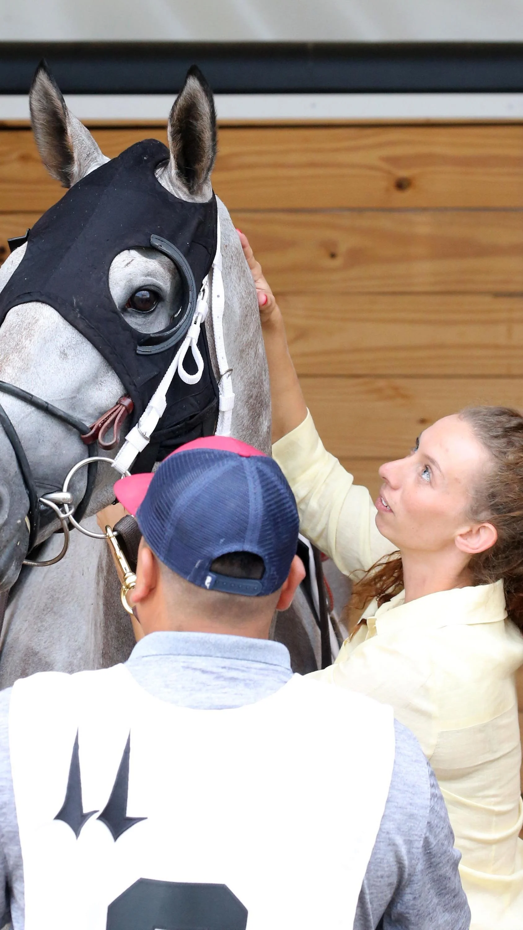 Amplify Horse Racing