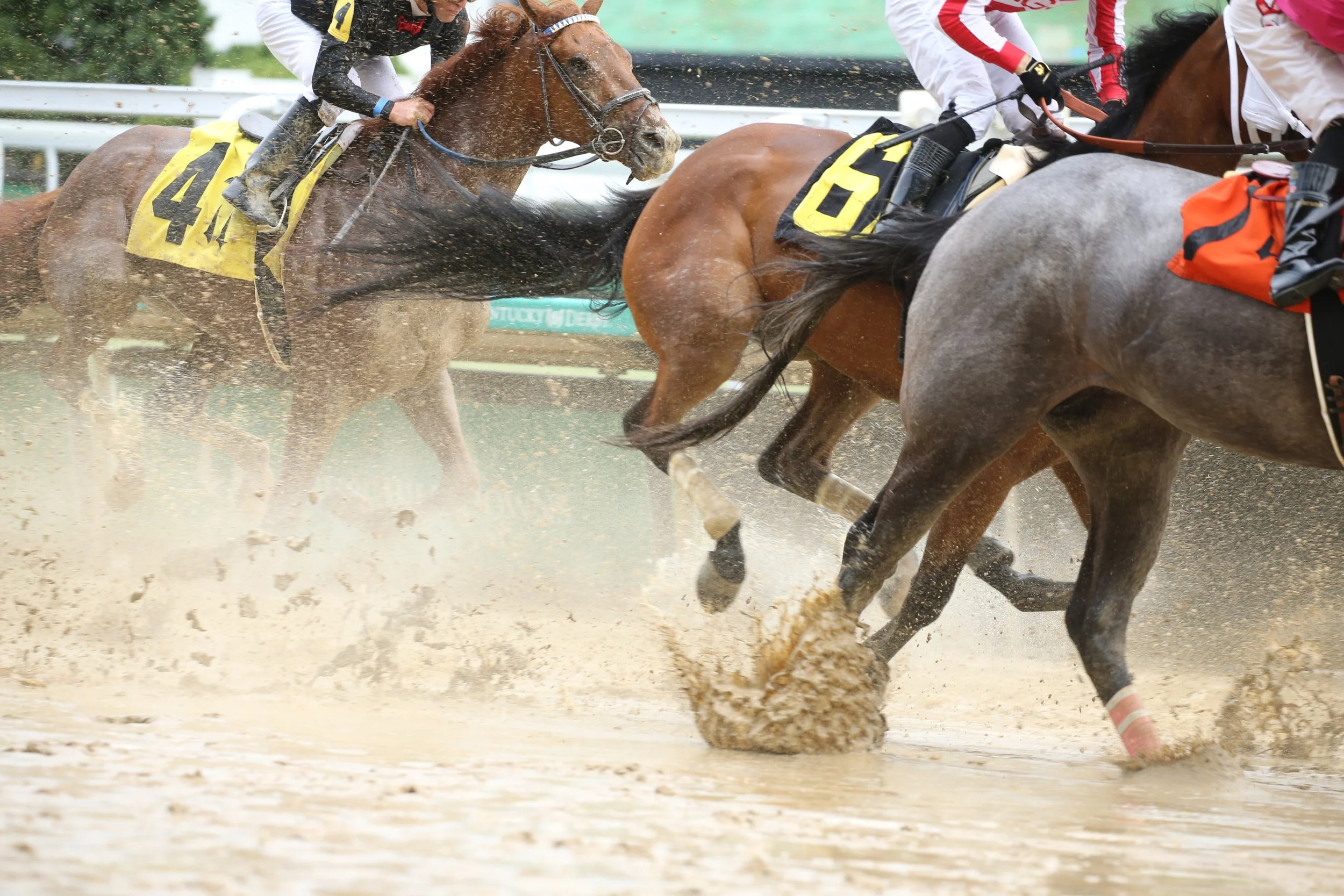 Part 2: Dirt – Under the Hoof: The Science and History of Horse Racing ...
