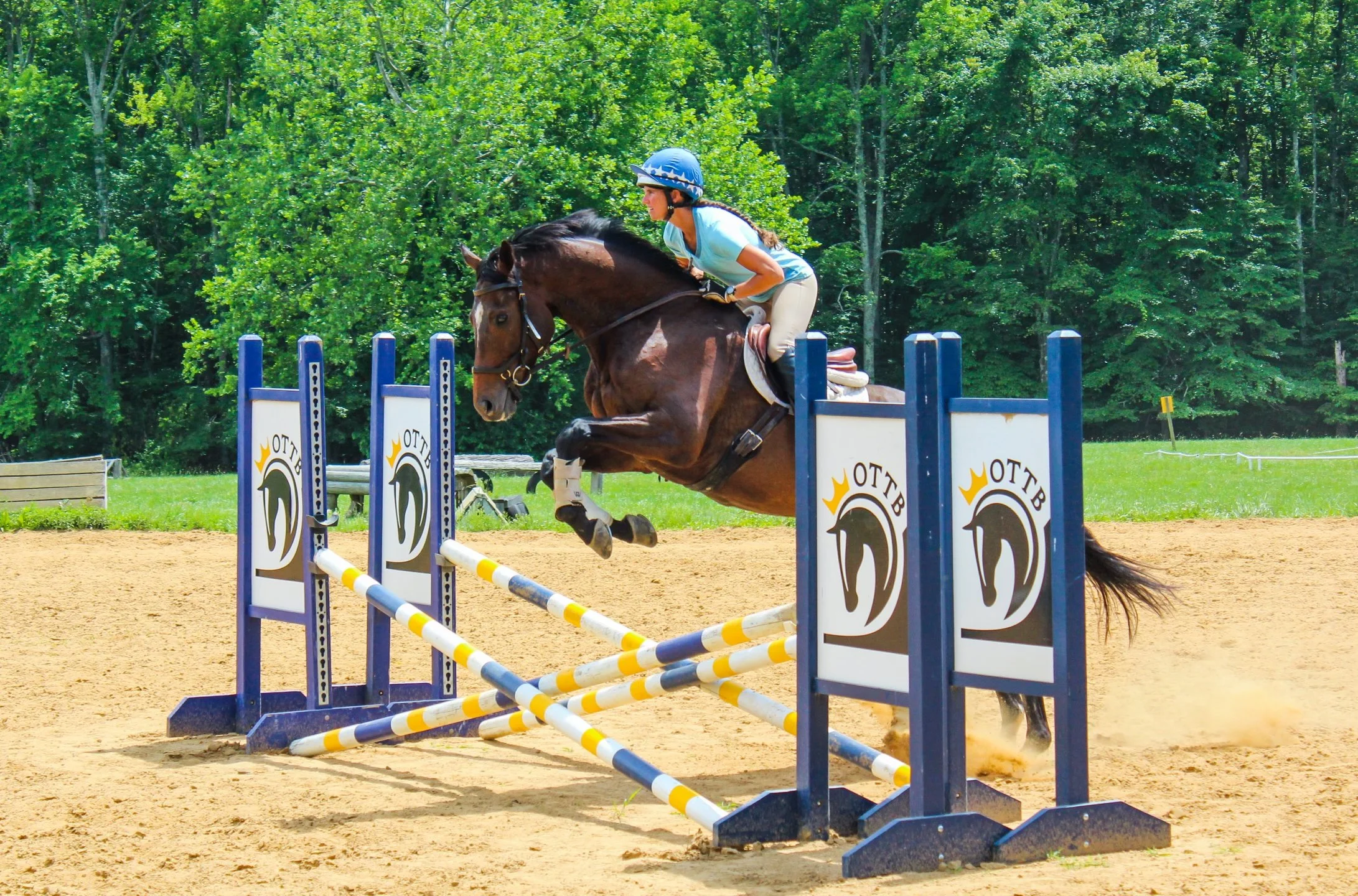 LEARN — Amplify Horse Racing