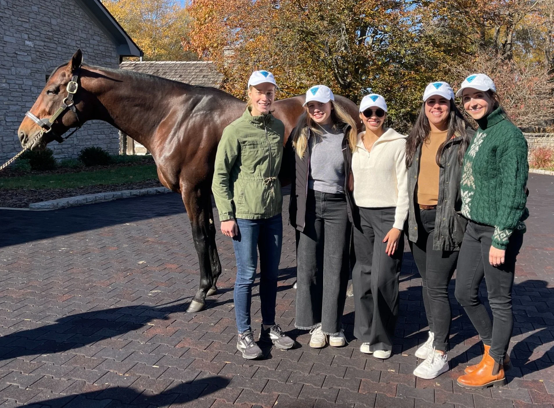 Amplify Horse Racing 2023 WRAPPED! — Amplify Horse Racing