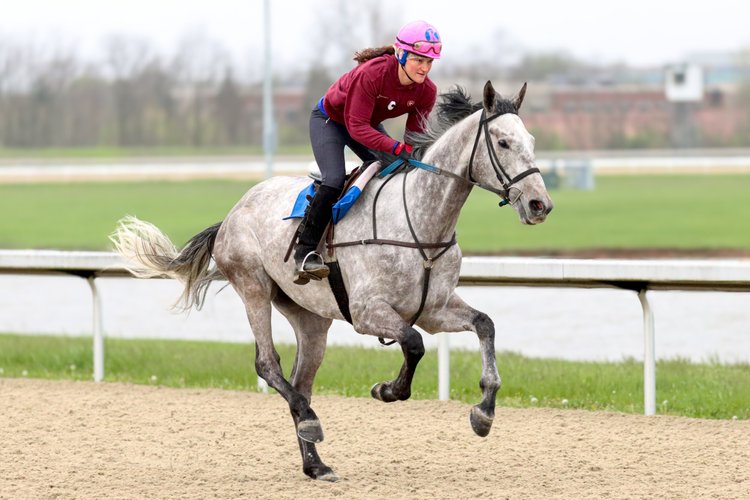 Part 3: Synthetic - Under the Hoof: The Science and History of Horse ...