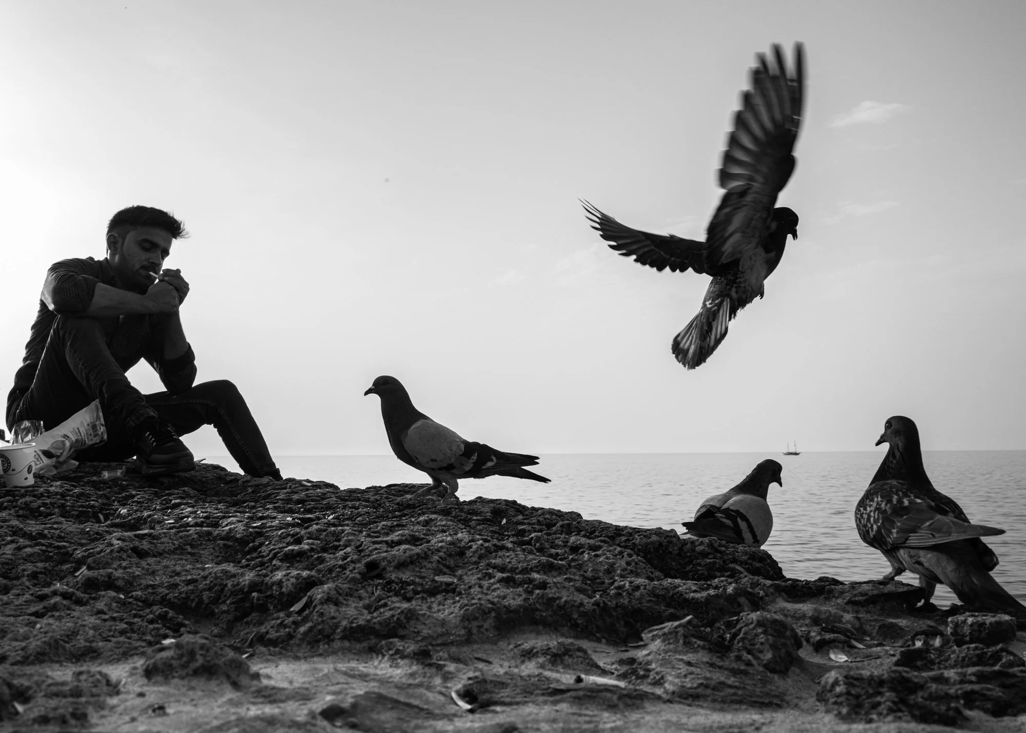 Pigeons of Kyrenia, Cyprus — Charis Ioannou