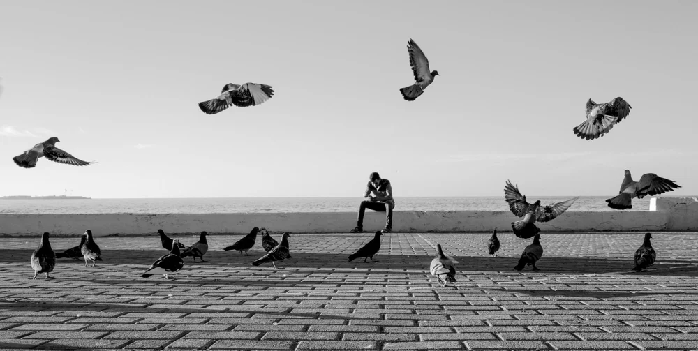 Pigeons of Kyrenia, Cyprus — Charis Ioannou