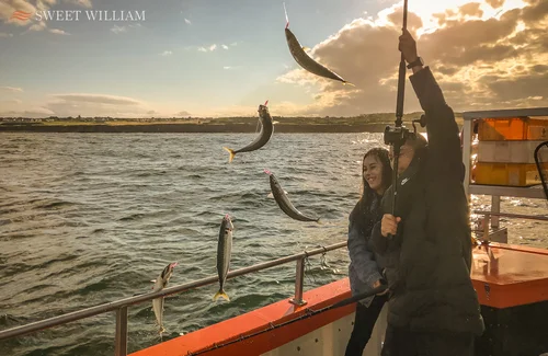SWEET WILLIAM CHARTER BOAT