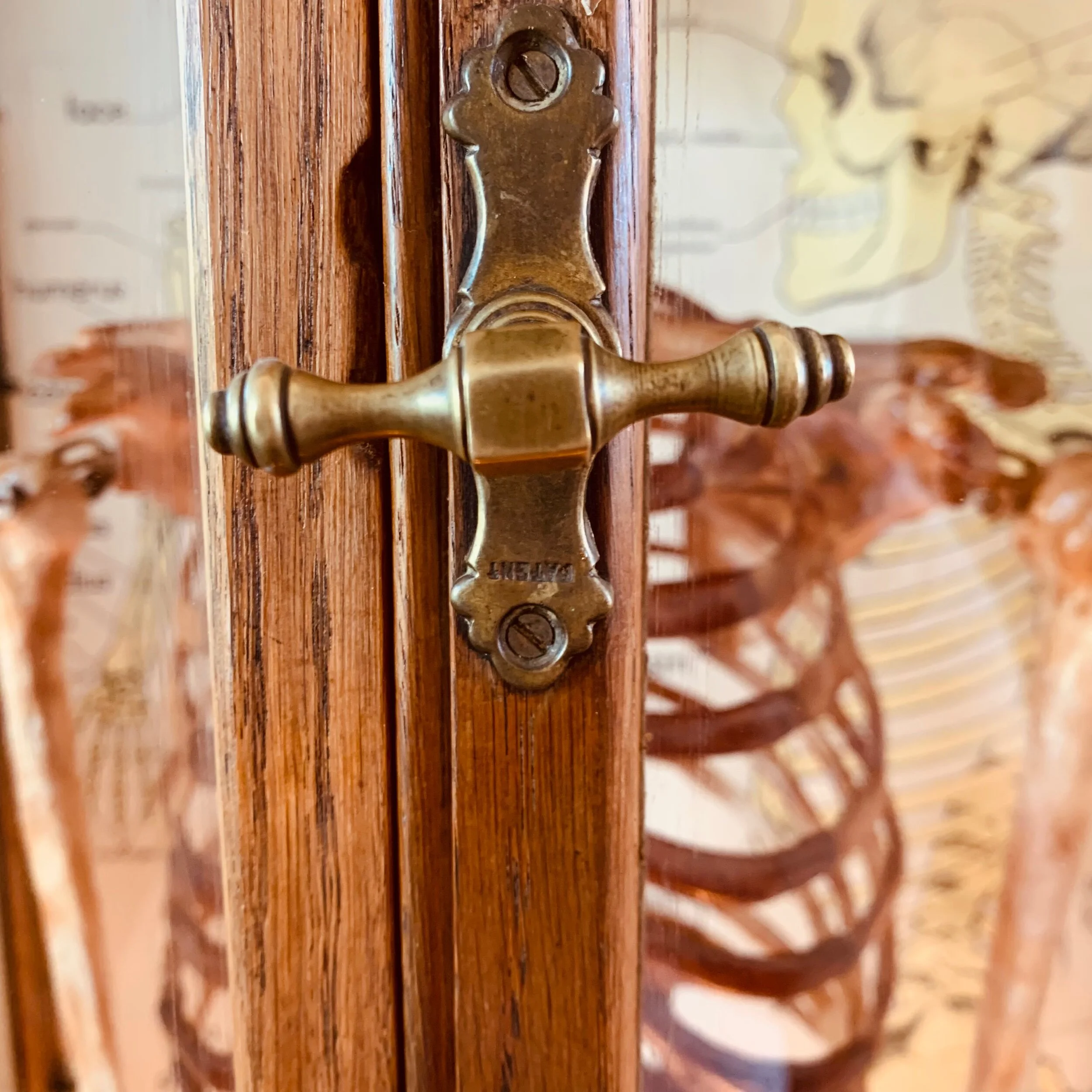 Vintage Anatomic Training Anne — Ware Interiors