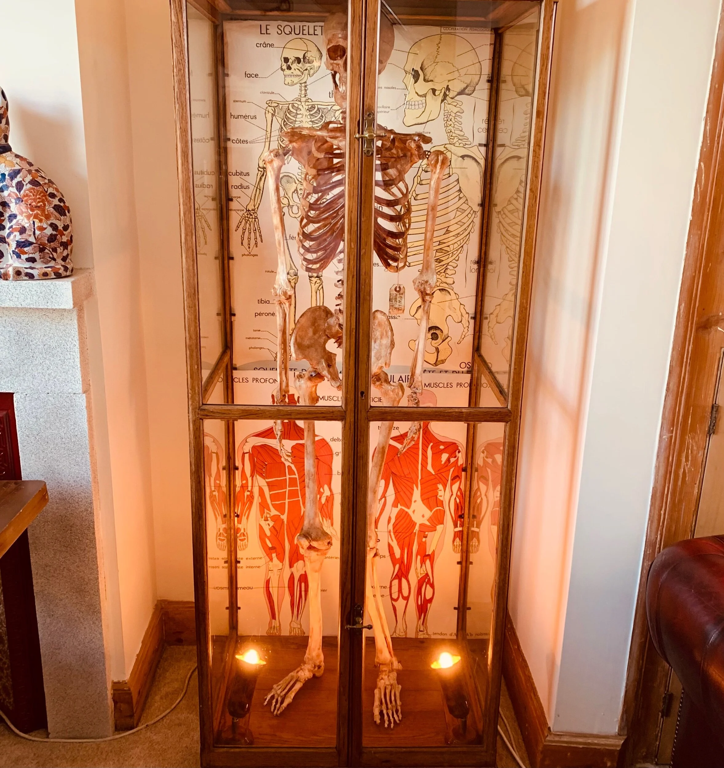 Vintage Anatomic Training Anne — Ware Interiors