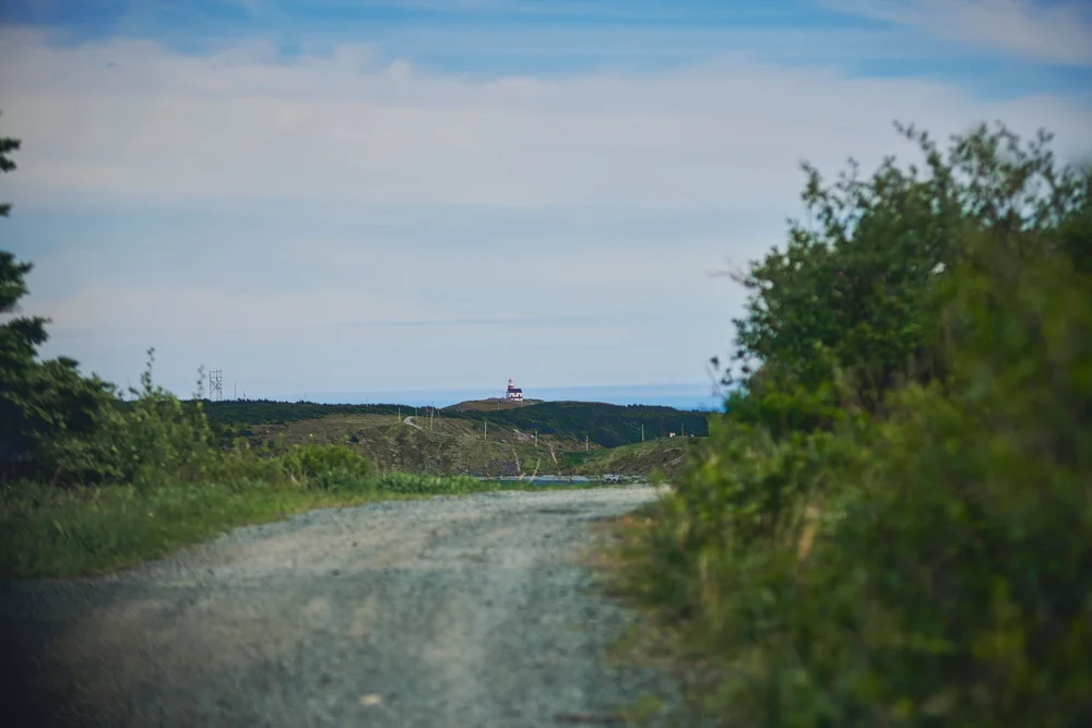 News & Updates — Town of Ferryland