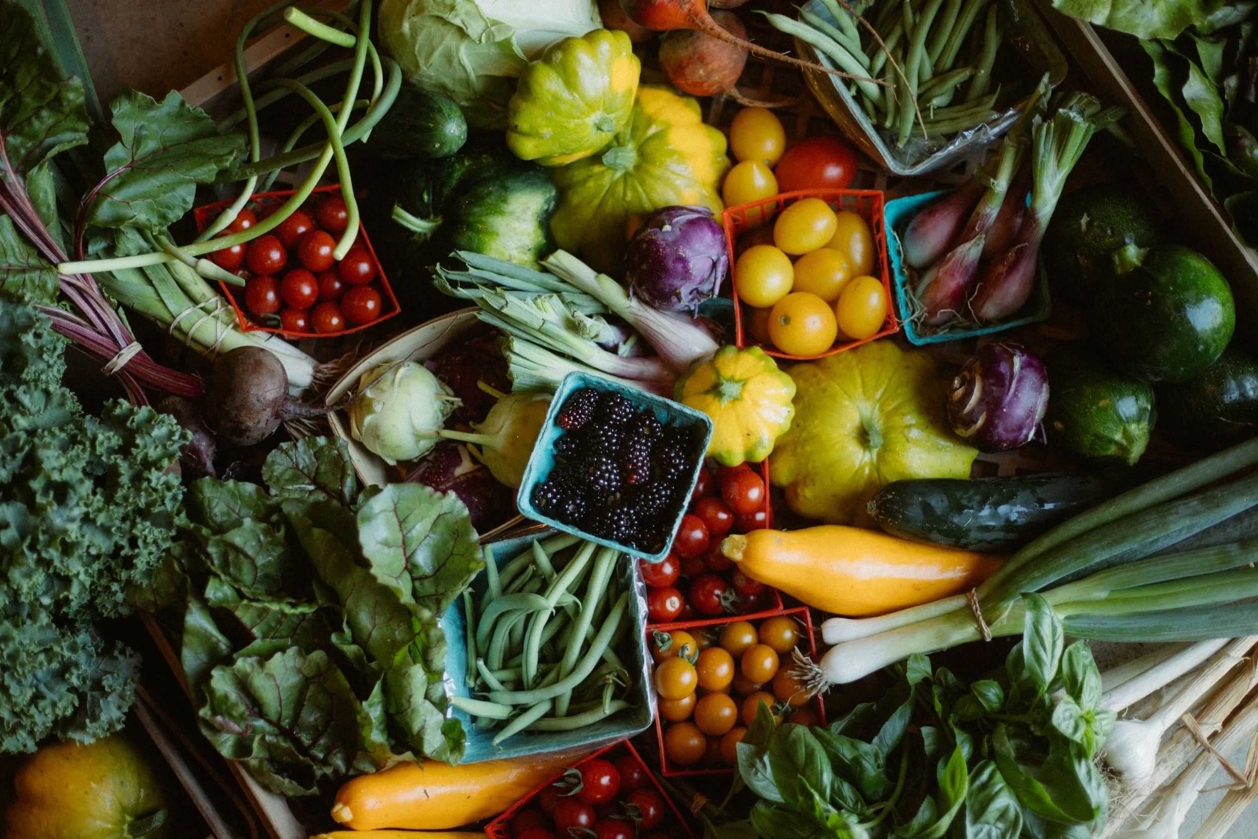 The Farm Club — Raven Oaks Farm