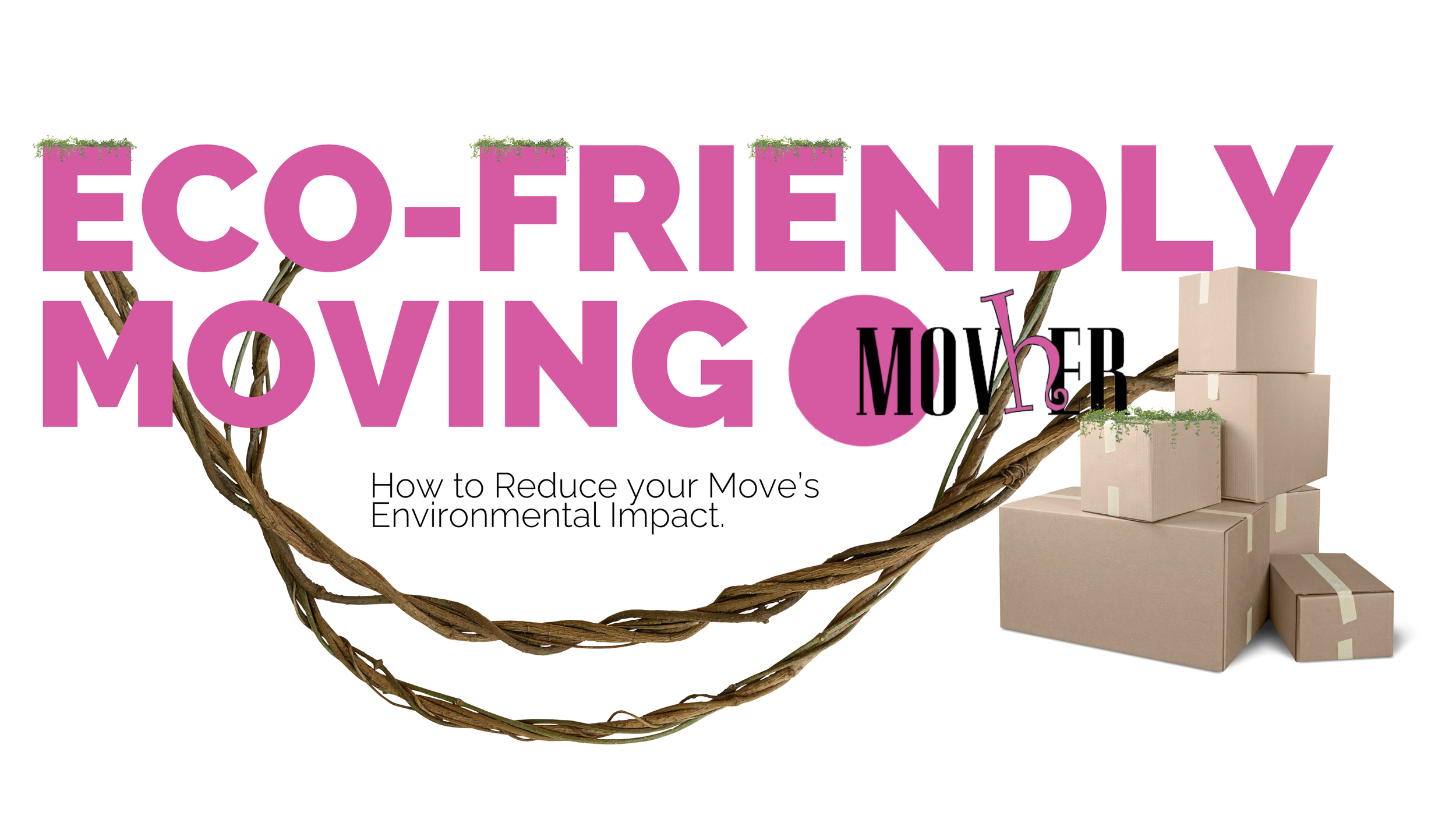 Eco-Friendly Moving Tips: How to Reduce Your Move’s Environmental ...
