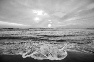 Proposal Photographer | Vaughn Barry Photography