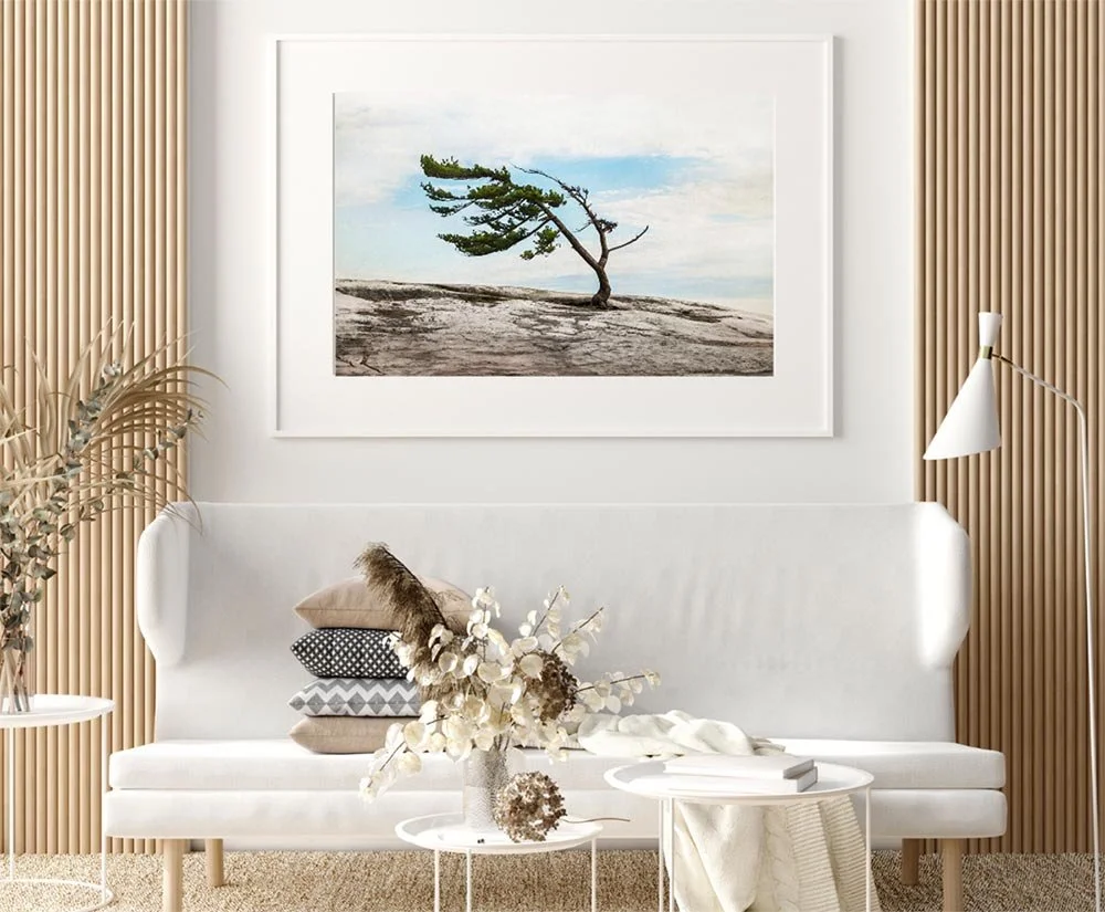 Choosing Best Photo Printing Service for Quality Prints