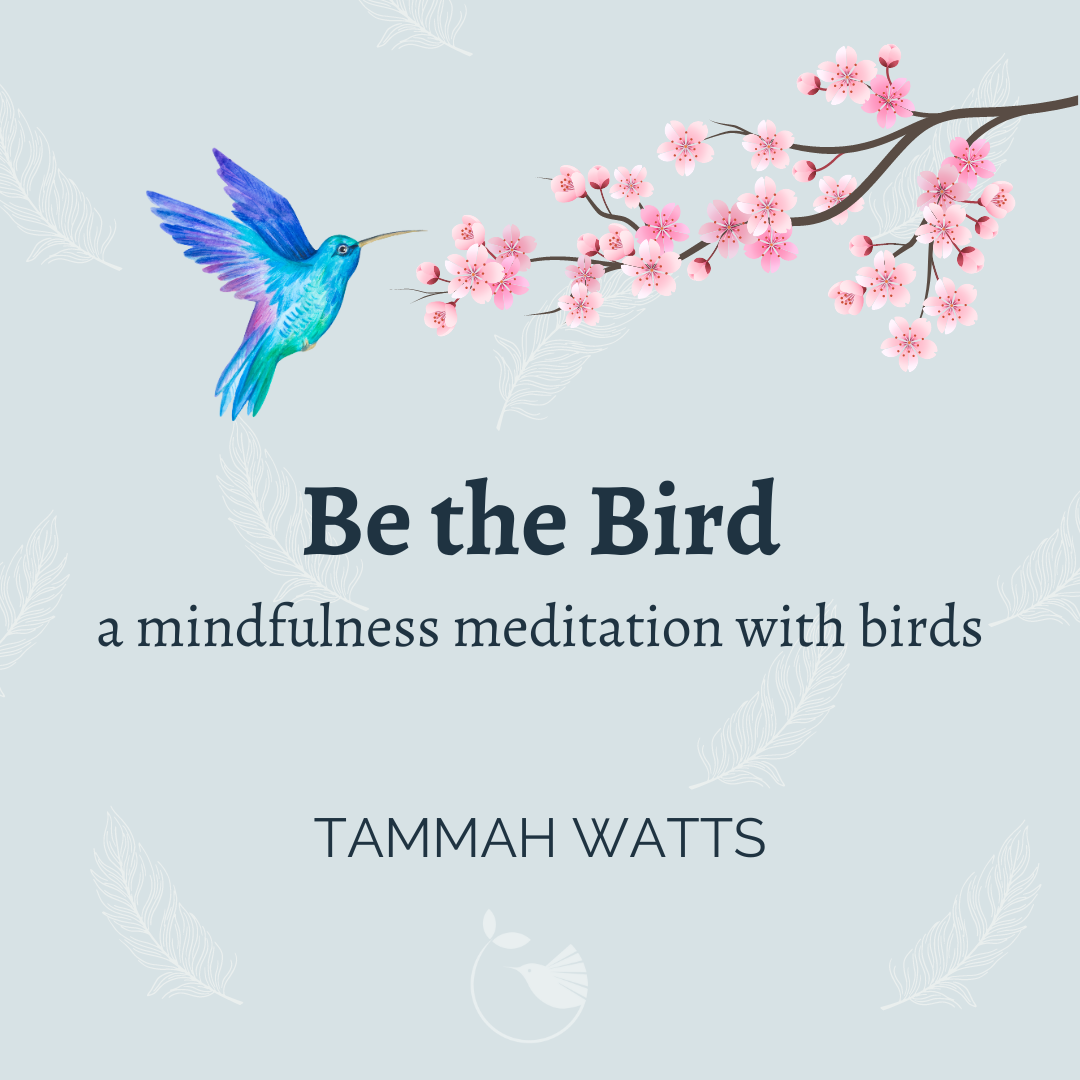 Be the Bird Meditation — TAMMAH WATTS
