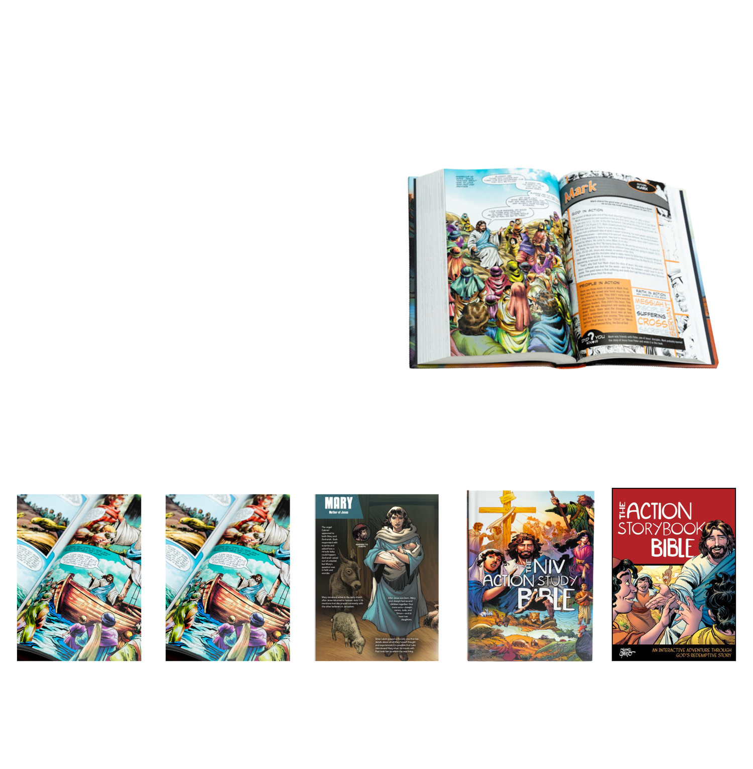 Bibles In Schools