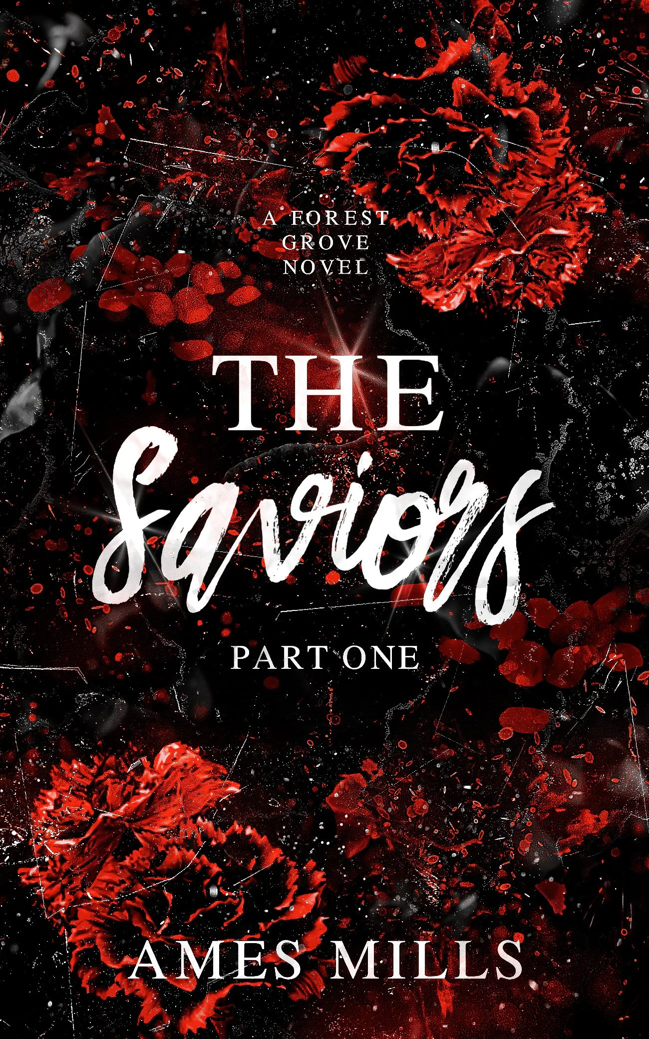 Store — Ames Mills