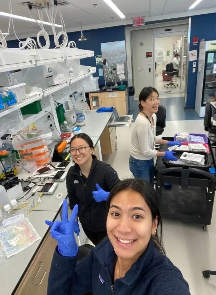 Team — LIU LAB