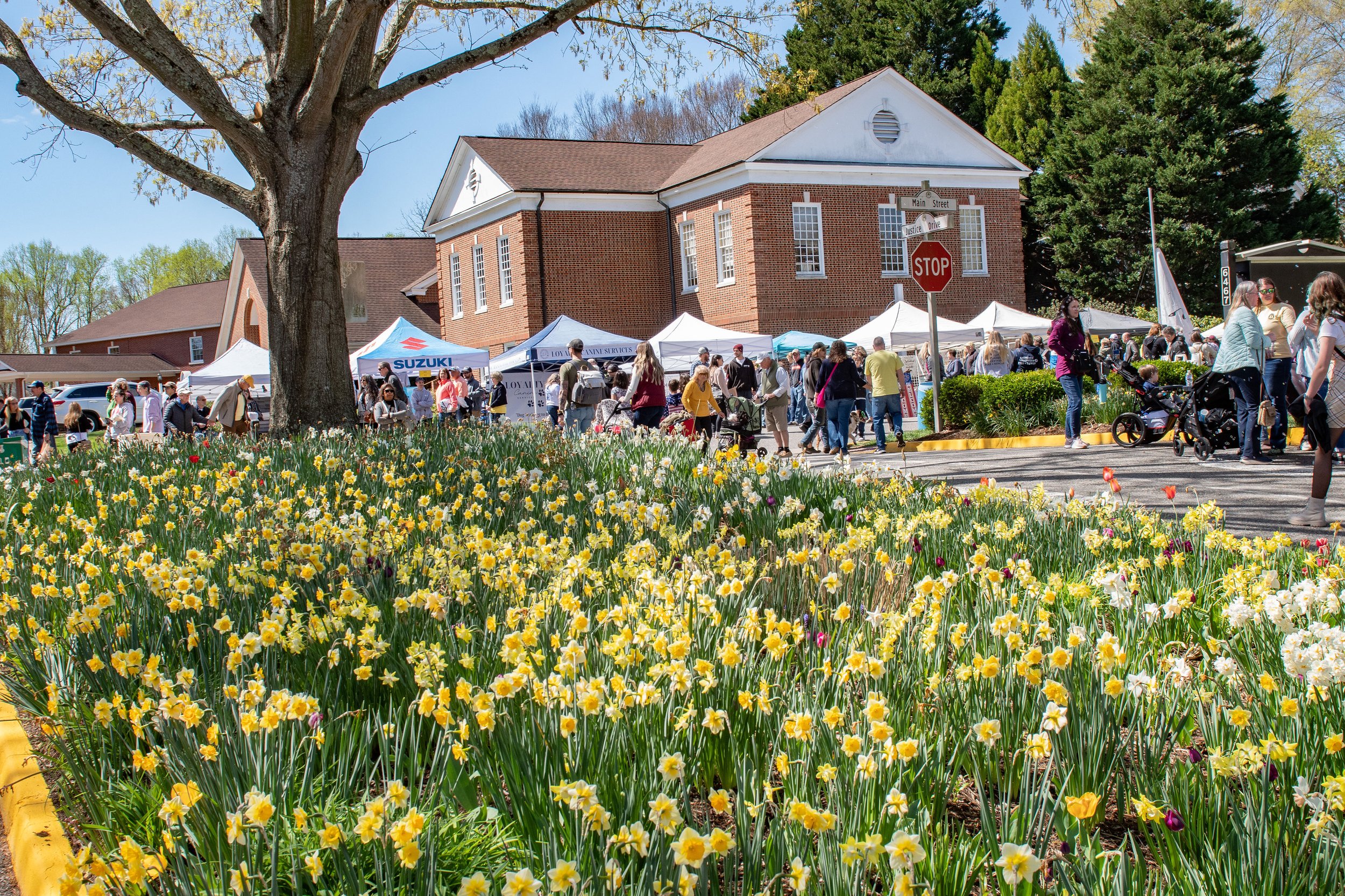 38th Annual Daffodil Festival — Gloucester County, VA