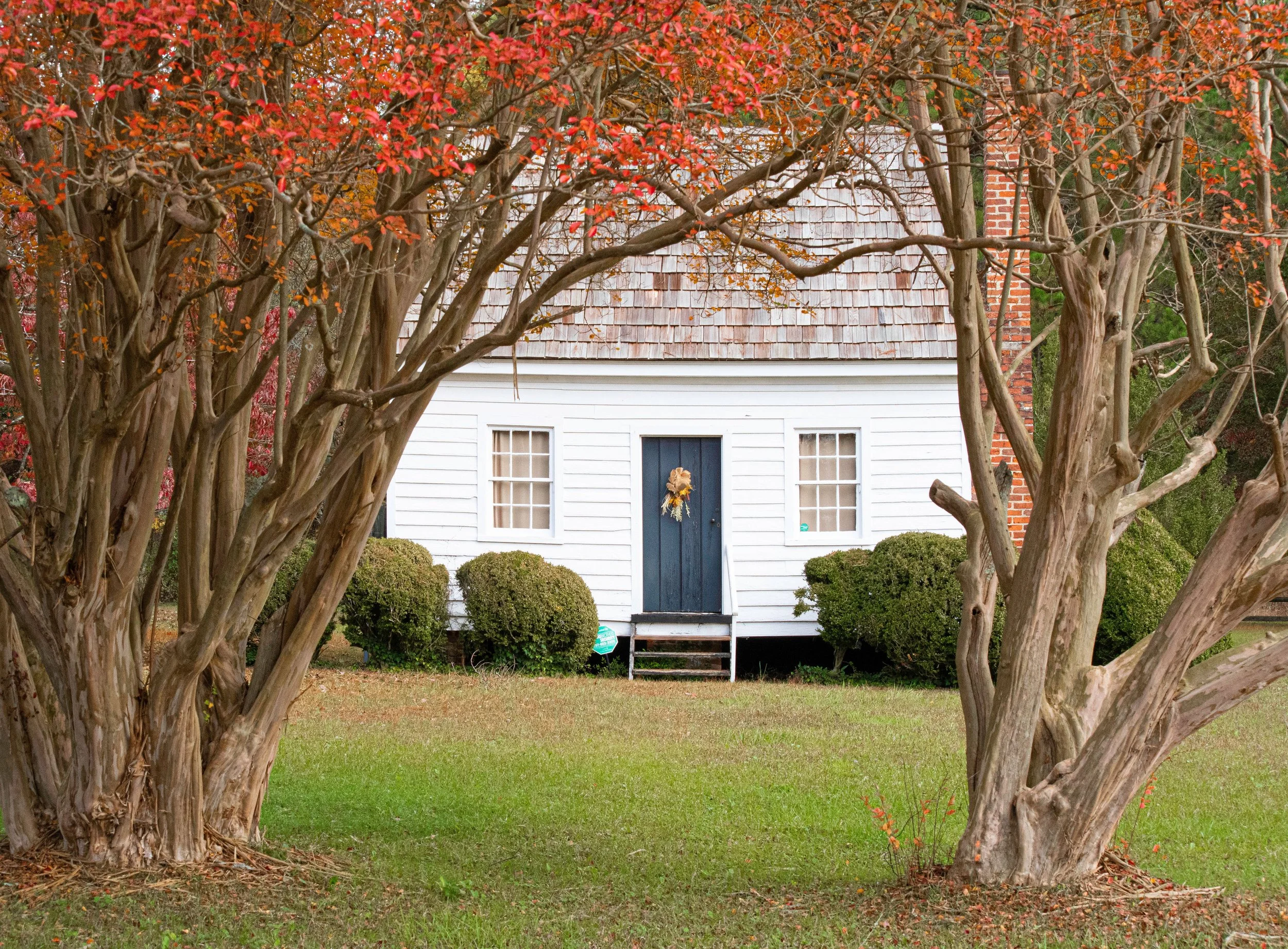Dr. Walter Reed (1851-1902)- Conqueror of the Yellow Fever — Gloucester ...