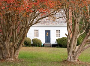 Dr. Walter Reed (1851-1902)- Conqueror of the Yellow Fever — Gloucester ...
