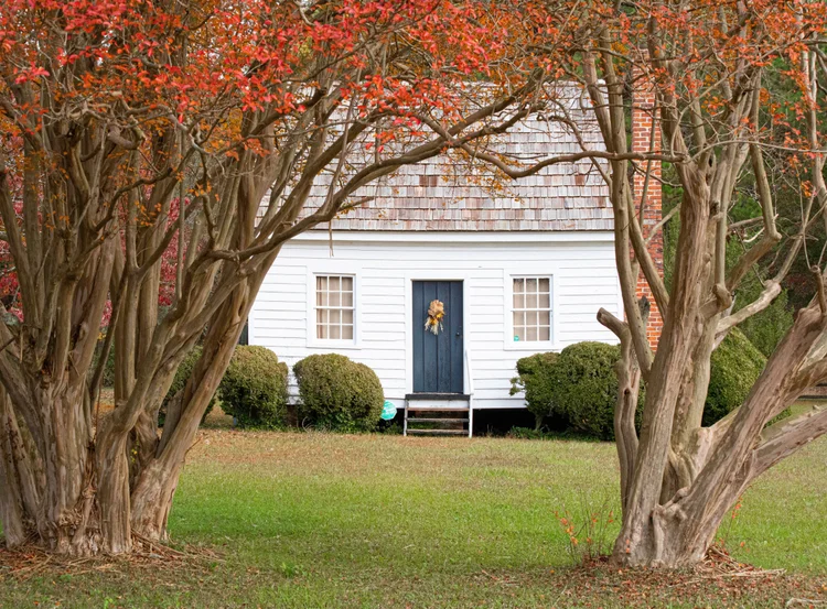 Dr. Walter Reed (1851-1902)- Conqueror of the Yellow Fever — Gloucester ...