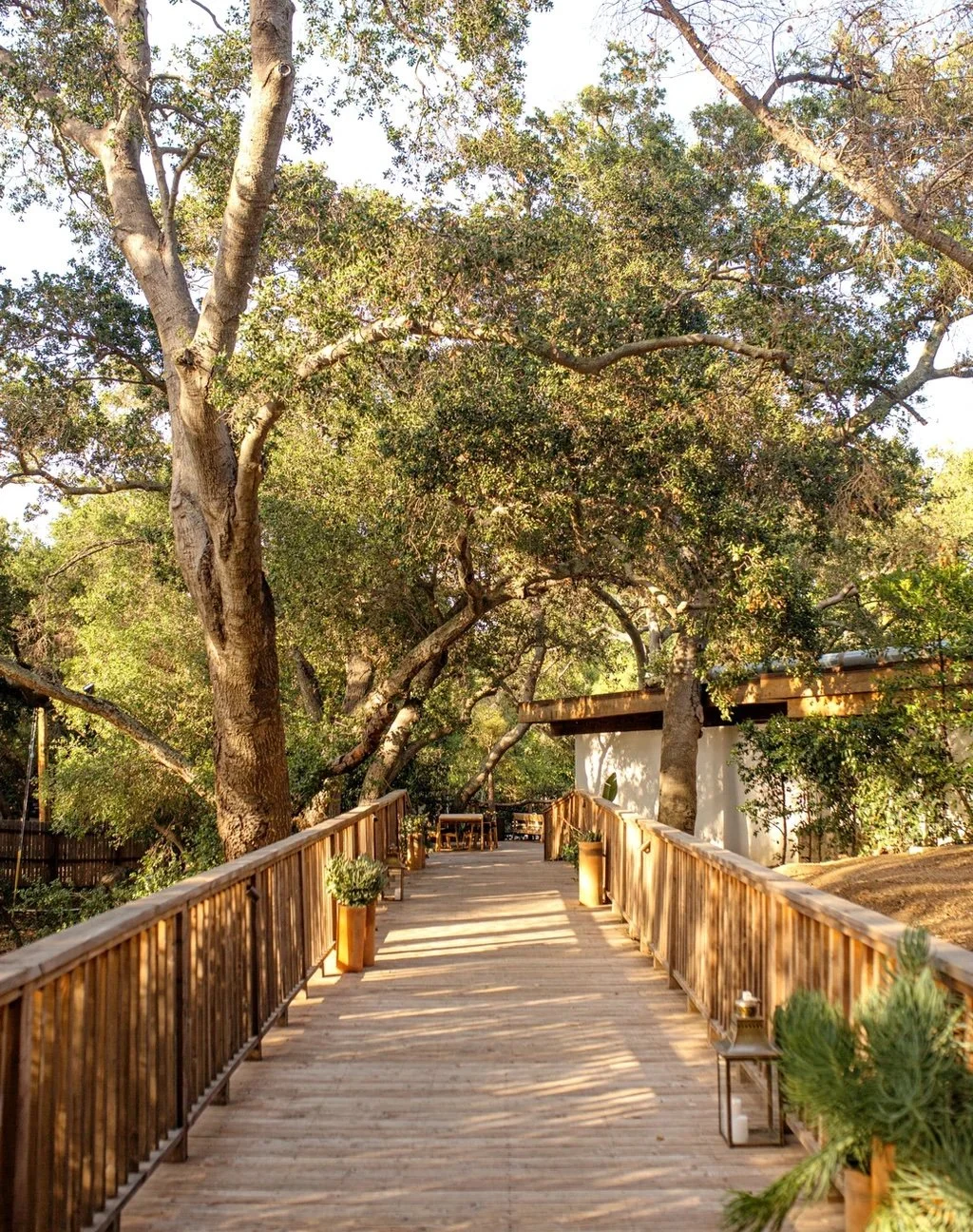 Calamigos Members Club