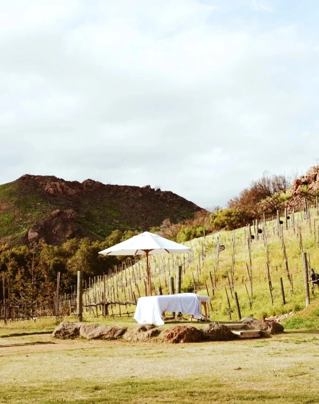 Calamigos Members Club