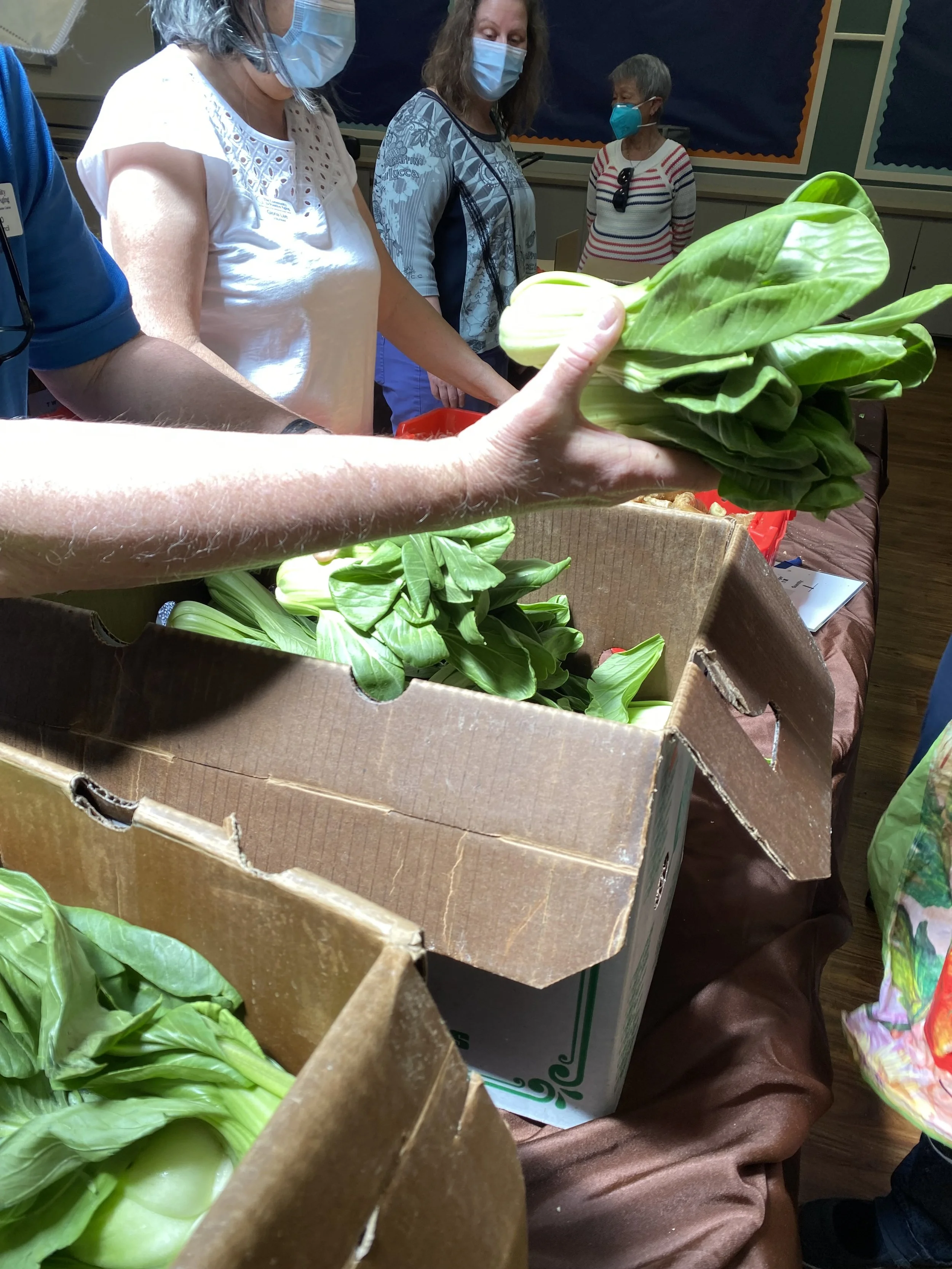 About Food Security — The Community For Positive Aging