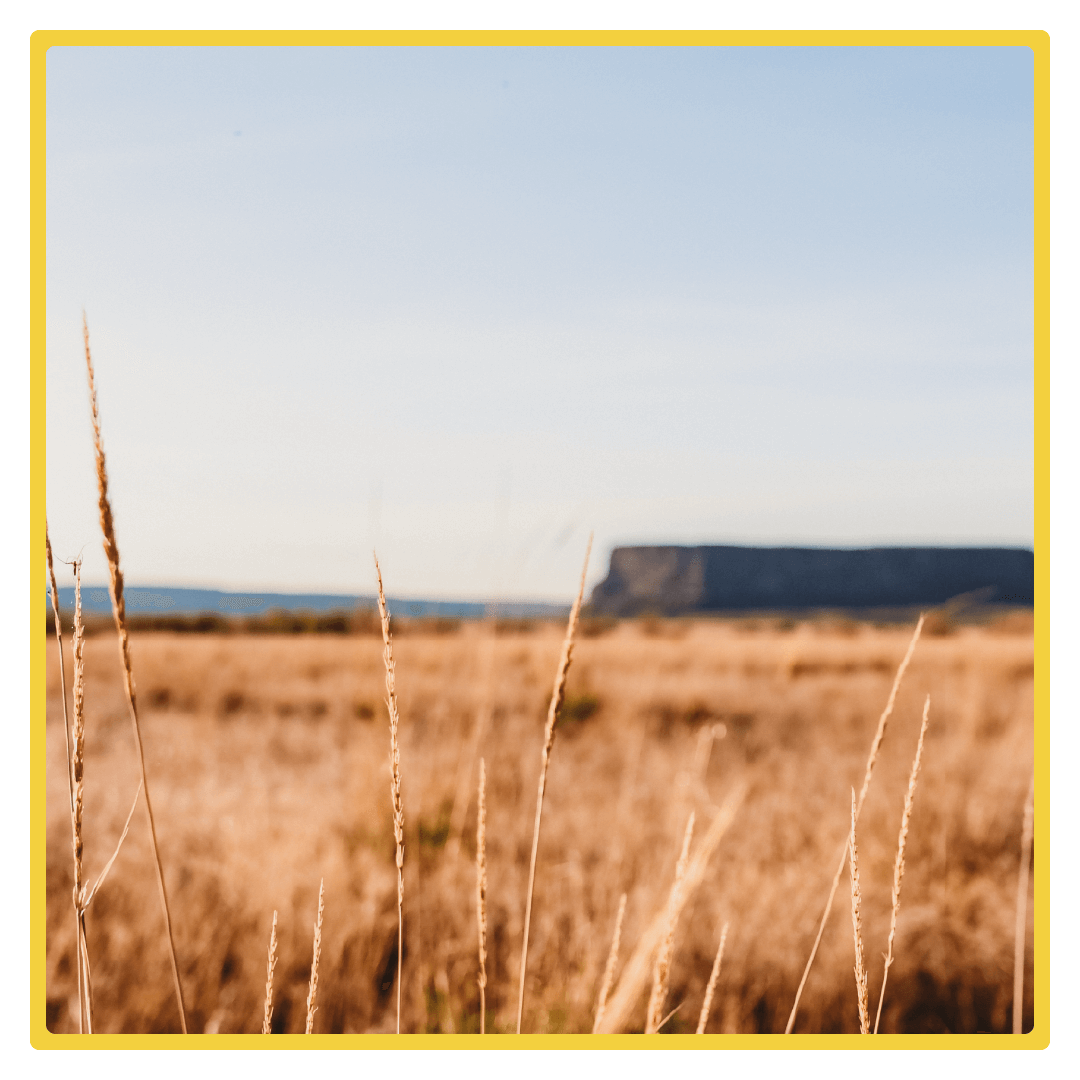 Partner Spotlight: 7 Questions with the Confederated Tribes of the ...