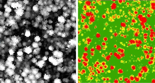 LiDAR Technology in Forestry and Taan Operations — Taan Forest
