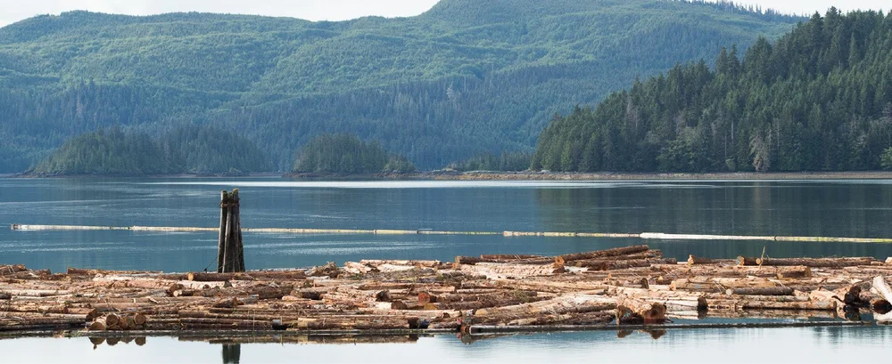 Products — Taan Forest