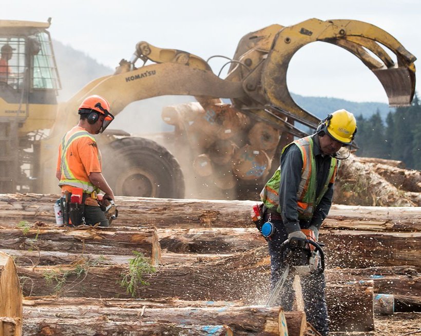 Conservation & Sustainability — Taan Forest